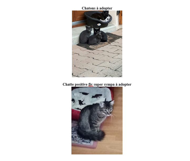 JOURNAL de l'Association - AFDA