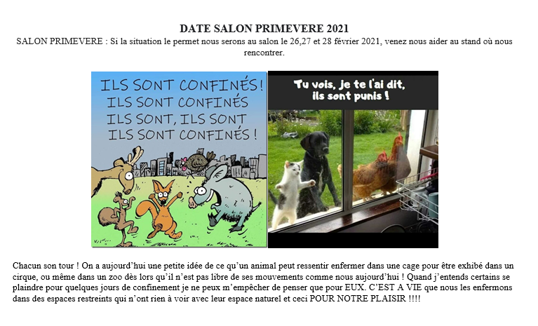 JOURNAL de l'Association - AFDA