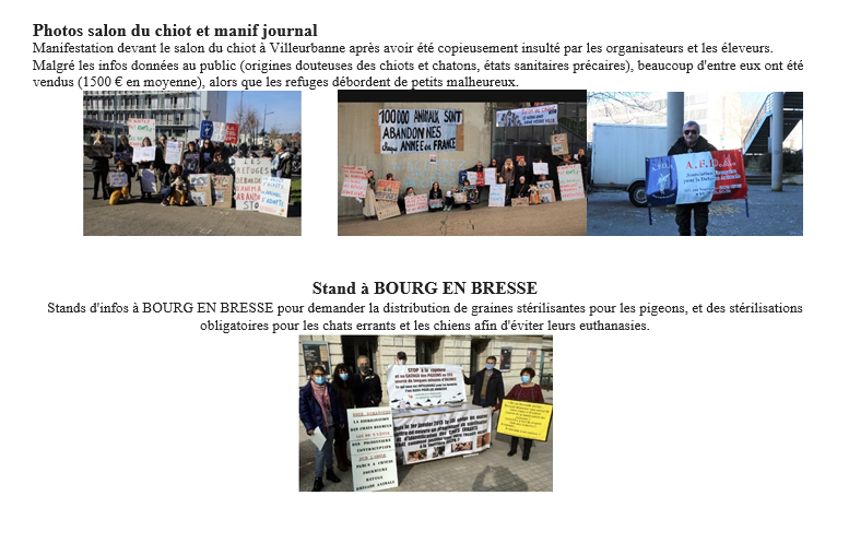 JOURNAL de l'Association - AFDA