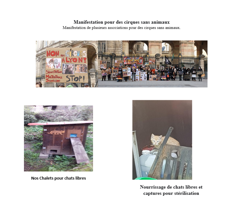 JOURNAL de l'Association - AFDA