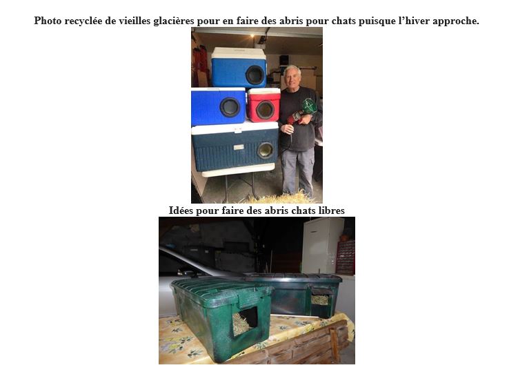 Le Journal de l'Association - AFDA