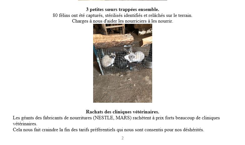 Le Journal de l'Association - AFDA