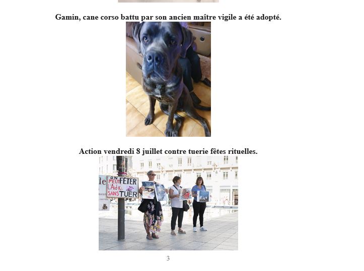 Le Journal de l'Association - AFDA